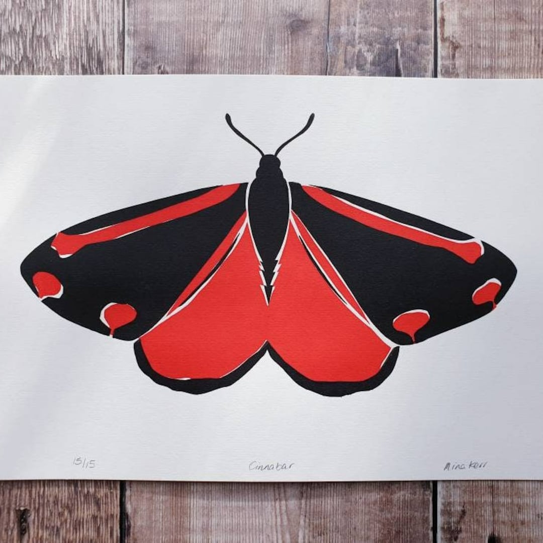 Cinnabar Moth Screen Print | Limited Edition Moth Print | Red and Black ...