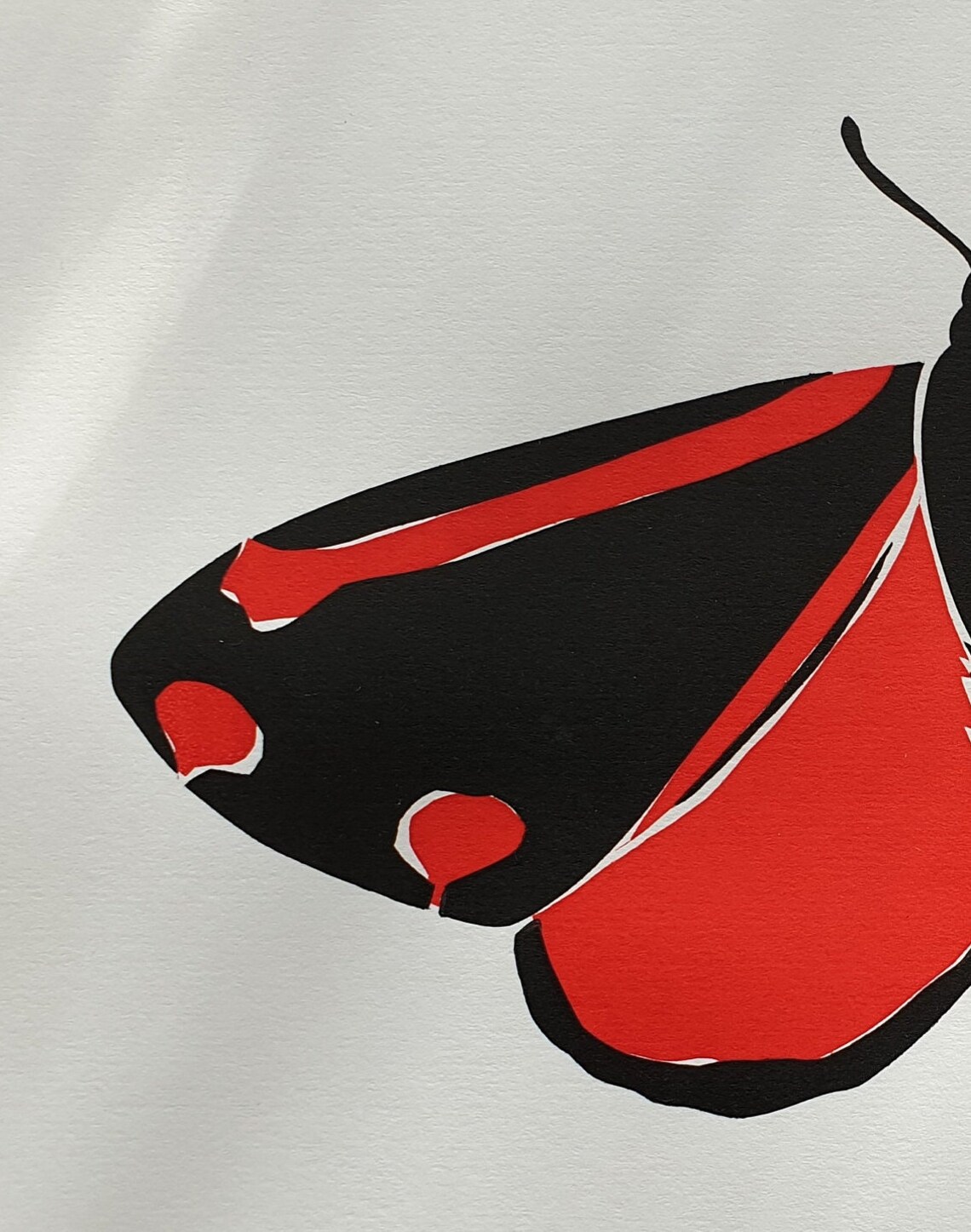 Cinnabar Moth Screen Print Limited Edition Moth Screen Print - Etsy