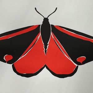 Cinnabar Moth Screen Print | Limited Edition Moth Print | Red and Black ...