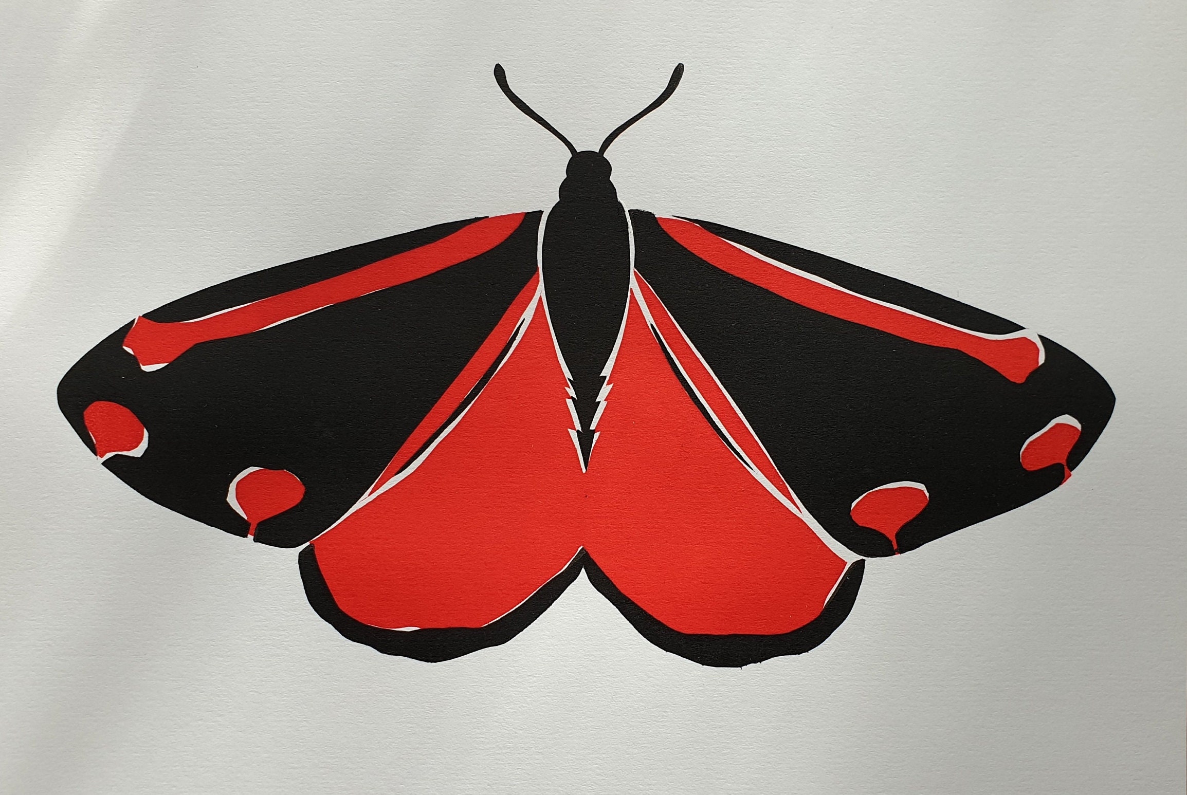 Cinnabar Moth Screen Print Limited Edition Moth Screen Print - Etsy