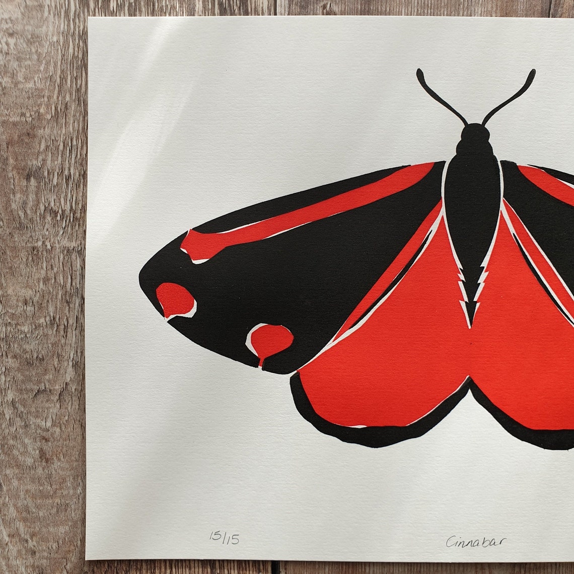 Cinnabar Moth Screen Print Limited Edition Moth Screen Print - Etsy