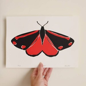 Cinnabar Moth Screen Print | Limited Edition Moth Print | Red and Black ...
