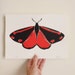 Cinnabar Moth Screen Print Limited Edition Moth Screen Print - Etsy