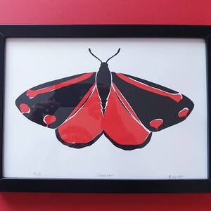 Cinnabar Moth Screen Print | Limited Edition Moth Print | Red and Black ...
