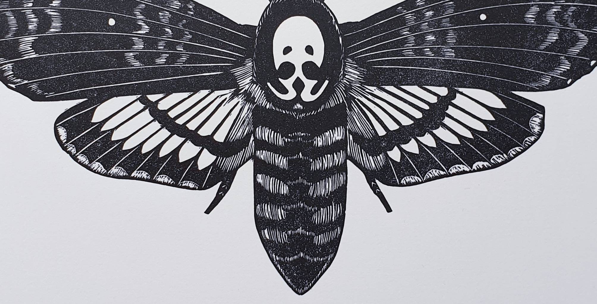 Death's Head Hawkmoth Linocut Gift for a Moth Lover Death's Head Moth ...