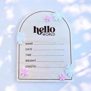 Birth Announcement Sign | Hello World Sign | Baby Girl | Birth Stat ...