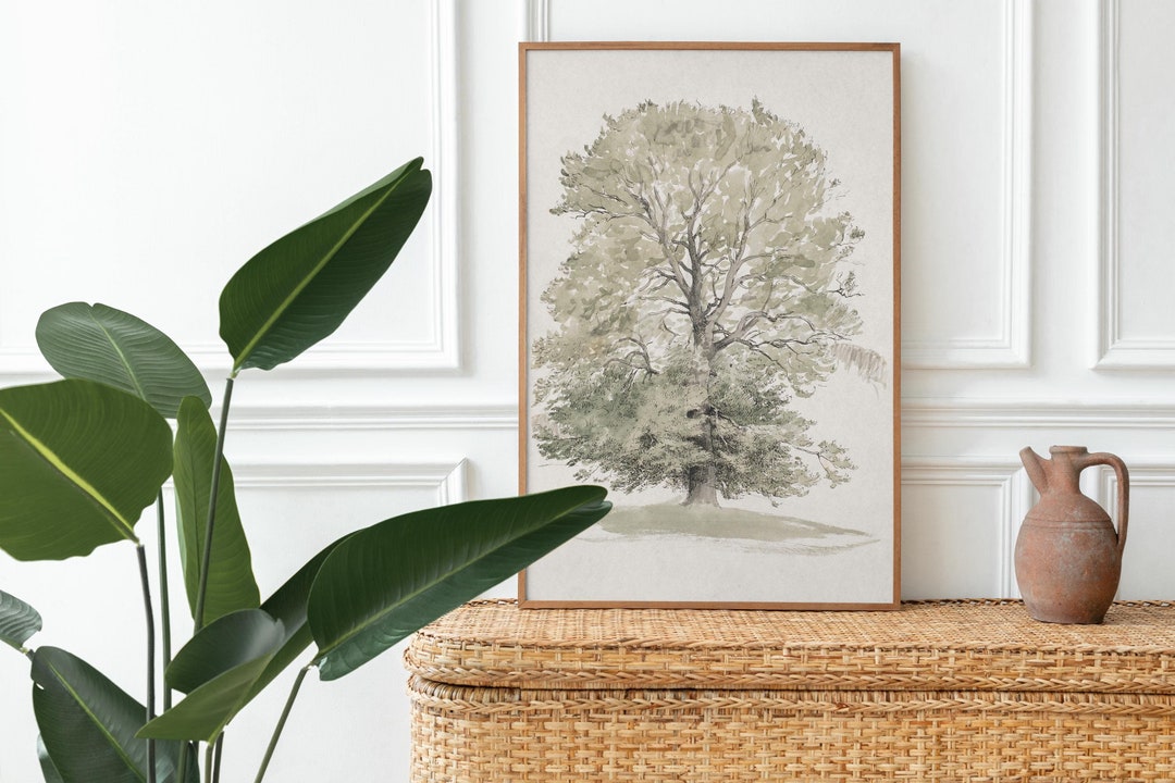 Vintage Beech Tree Print Antique Tree Drawing Muted Green Neutral Wall ...