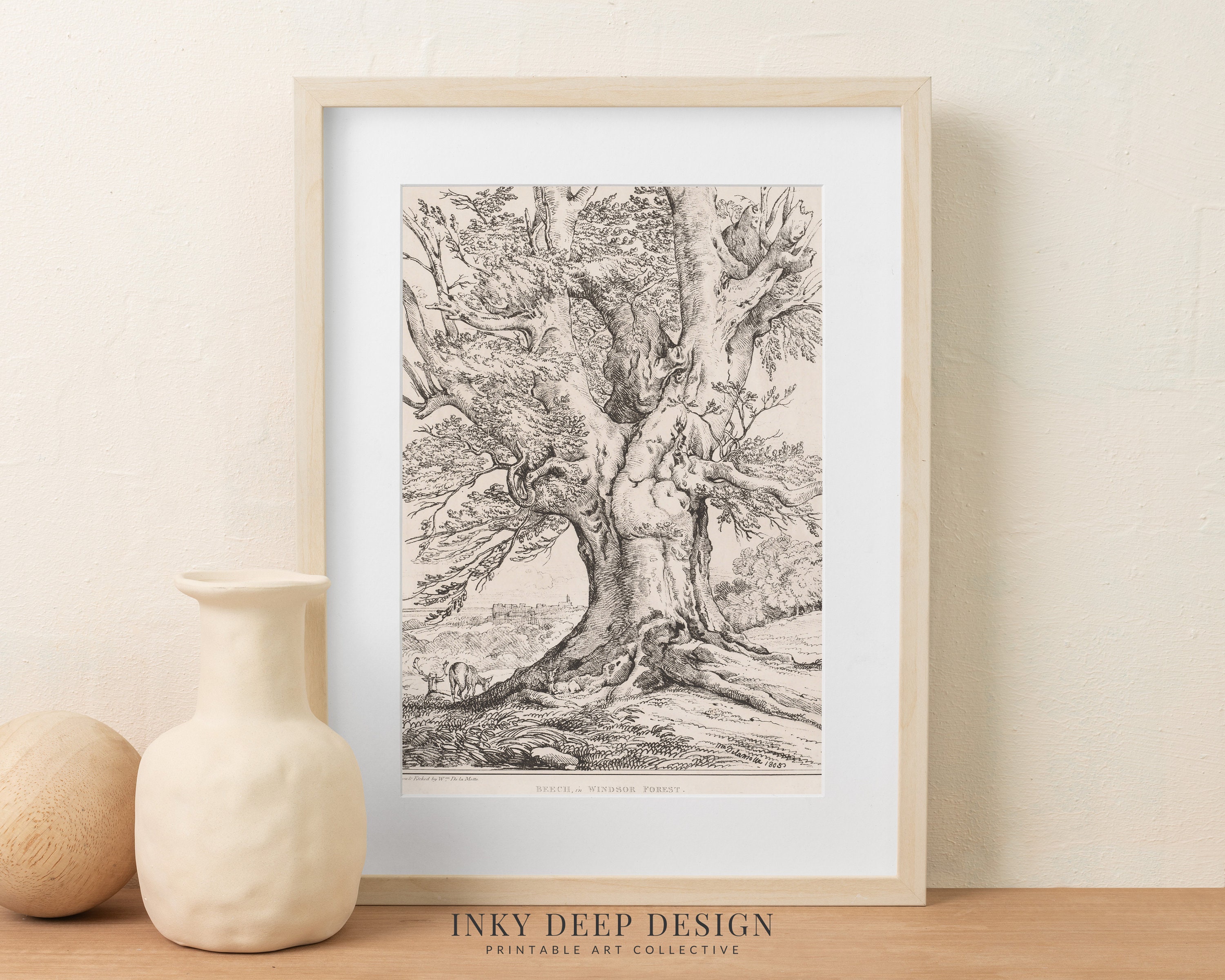 Beech Tree Etching Printable Vintage Tree Sketch Antique Botanical ...