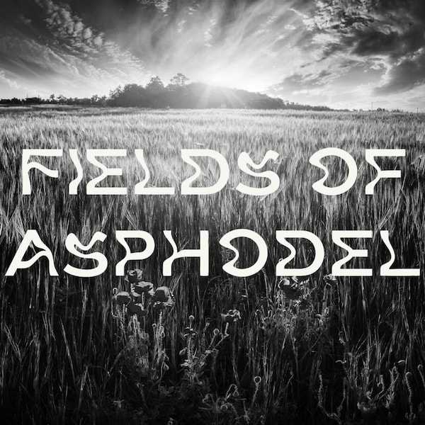 Asphodel - Etsy