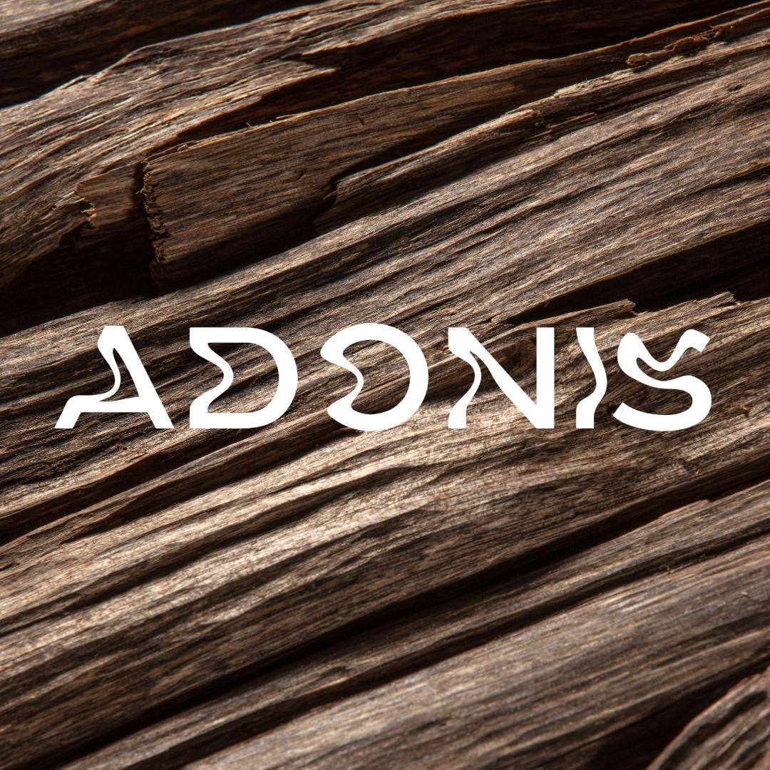 Adonis Perfume NEW - Etsy