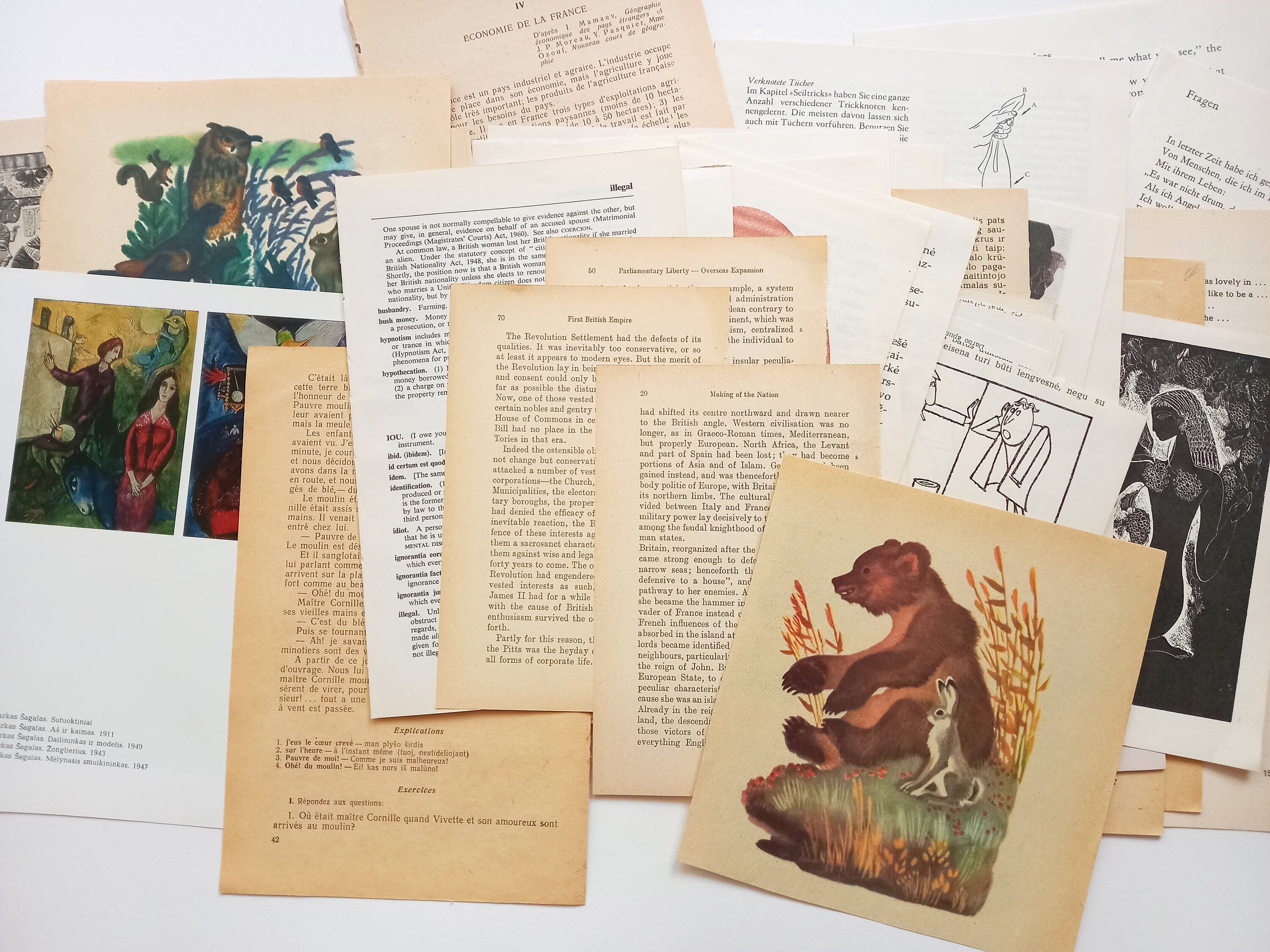 50 Vintage Scrapbook Paper Sheets 1960s Old Book Pages 1970s Vintage ...