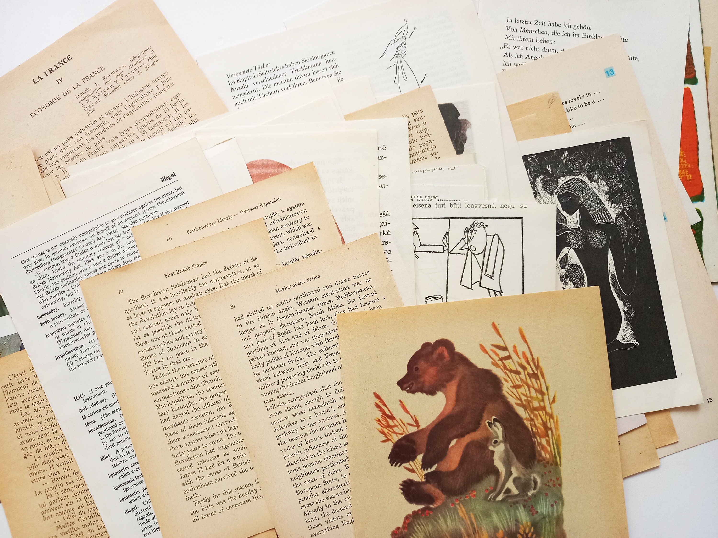 50 Vintage Scrapbook Paper Sheets 1960s Old Book Pages 1970s Vintage ...