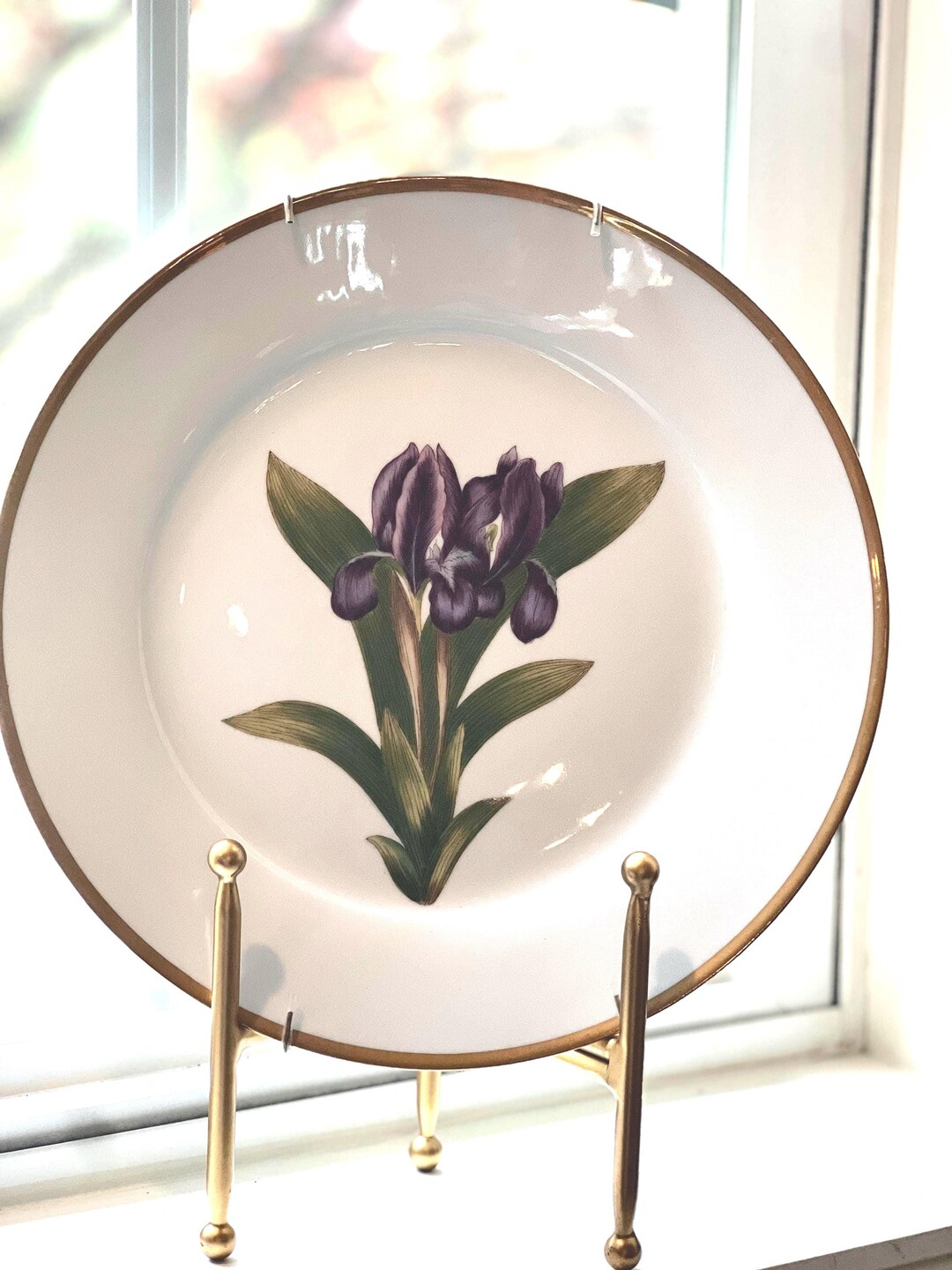 Set of 3 Vintage Botanical Porcelain Plates – Gold Rimmed Floral Wall ...