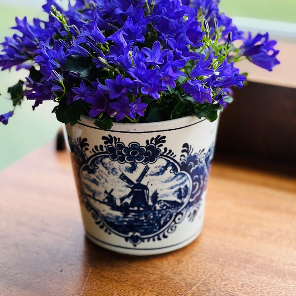 Delft Blue Planter - Etsy