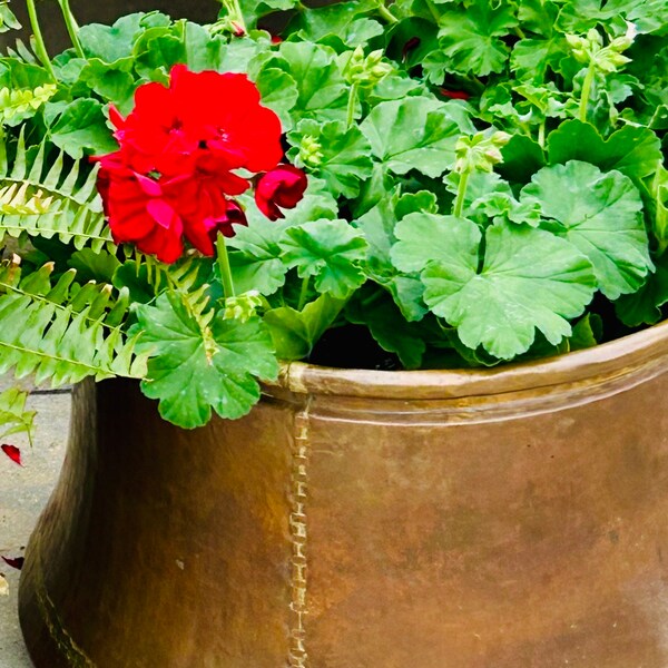 Large Copper Planter - Etsy