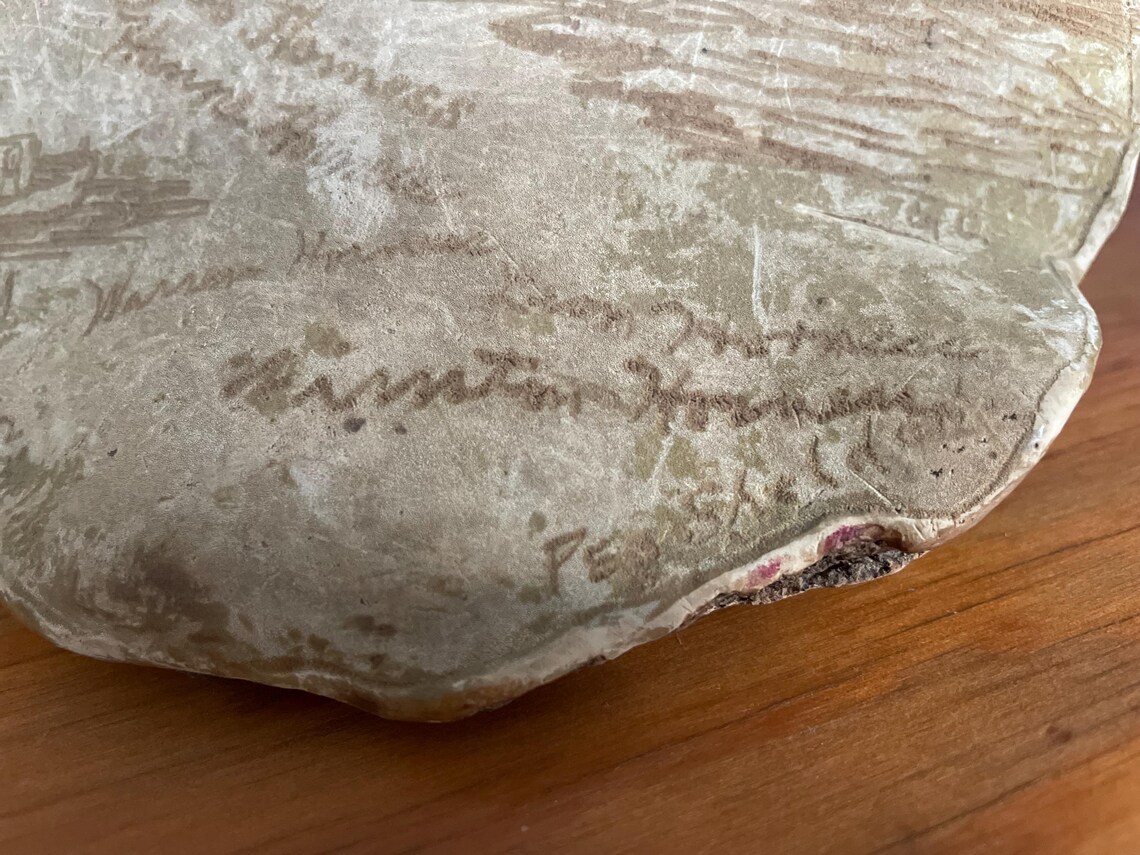 Unusual Vintage Artist Conk Tree Mushroom With Etched Tahquamenon Falls ...