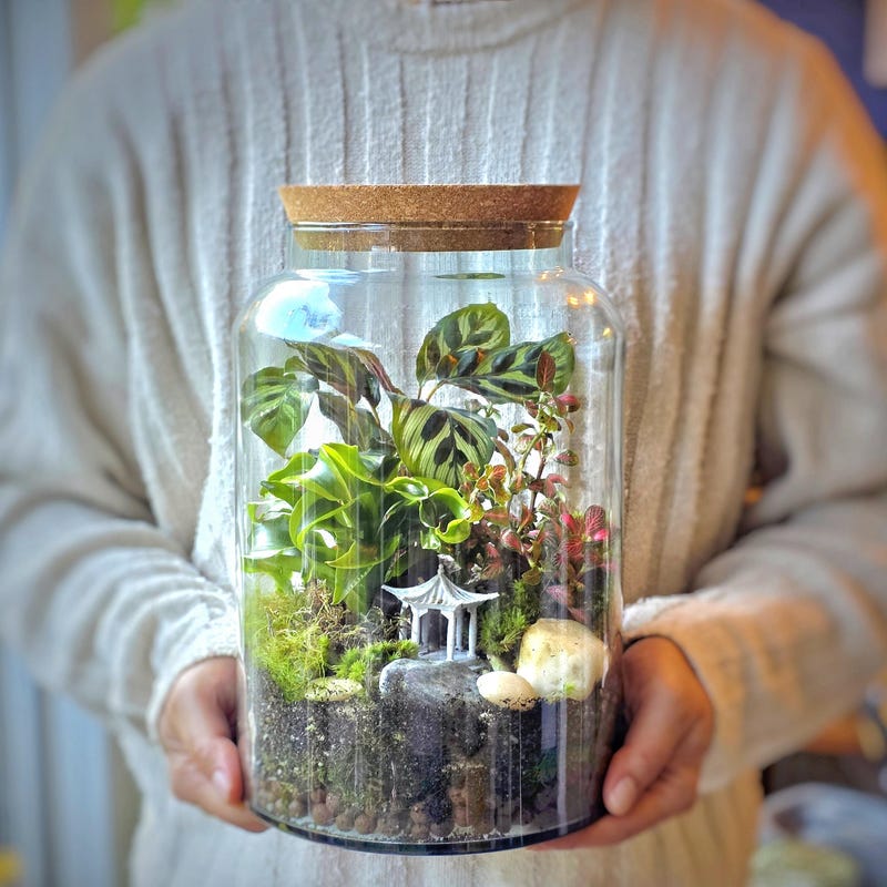 Large Gardening Terrarium - Etsy UK