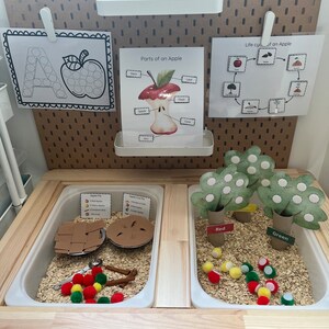 Apple Activity Pack for Kids, Printable Learning Bundle, Apple ...