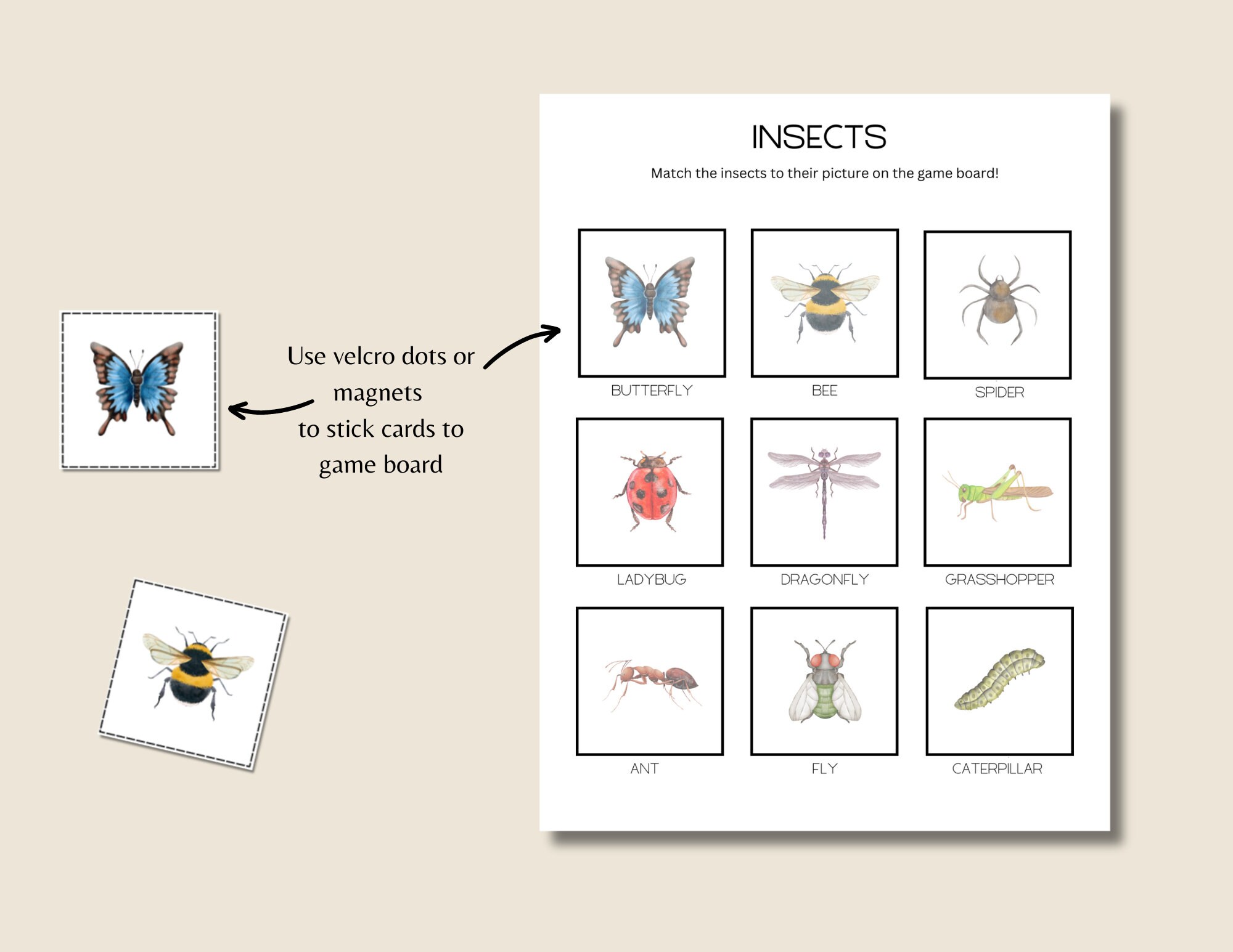 Insect Matching Activity, Match 8 Different Insects, Insect Activity ...