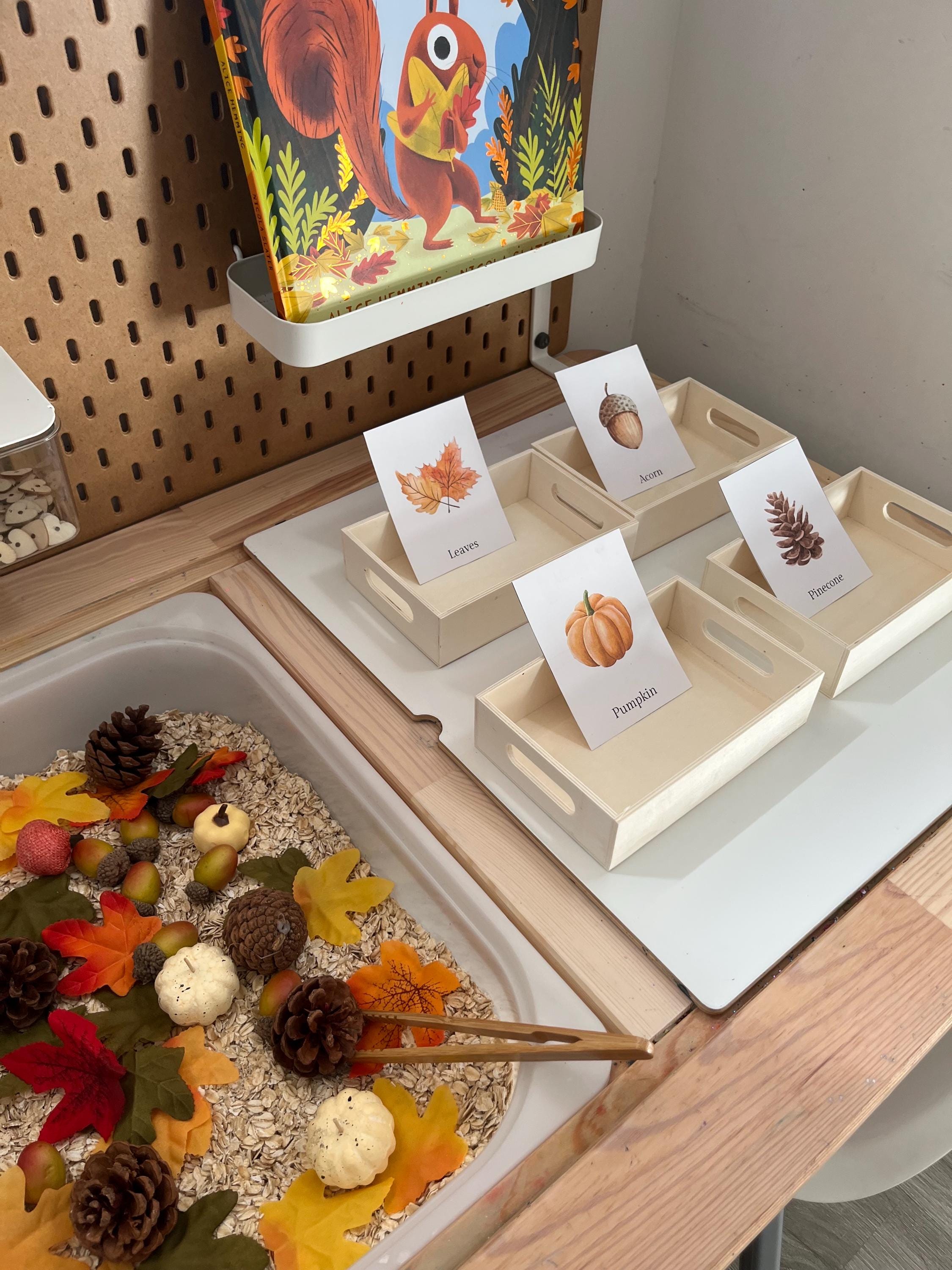 Fall Flashcards Printable, Autumn Flashcards, Nature Cards, Fall ...