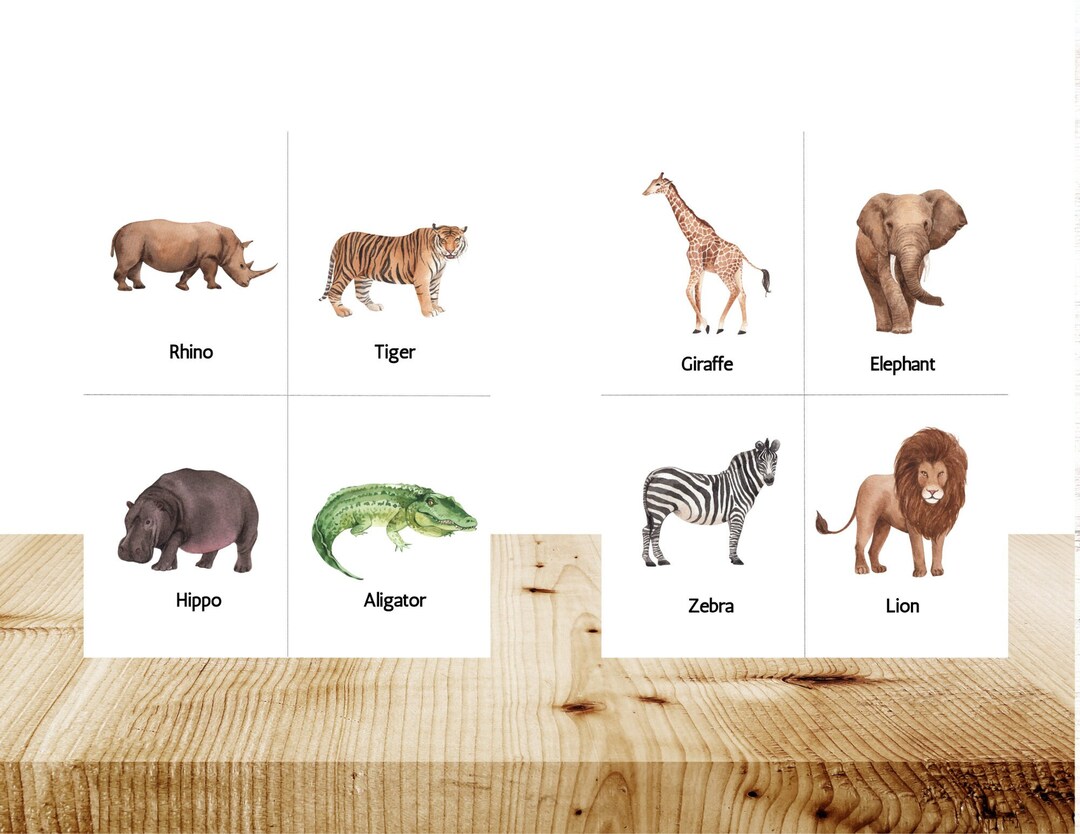 8 Safari Animals Cards, Montessori Flash Cards, Pre-school Cards ...