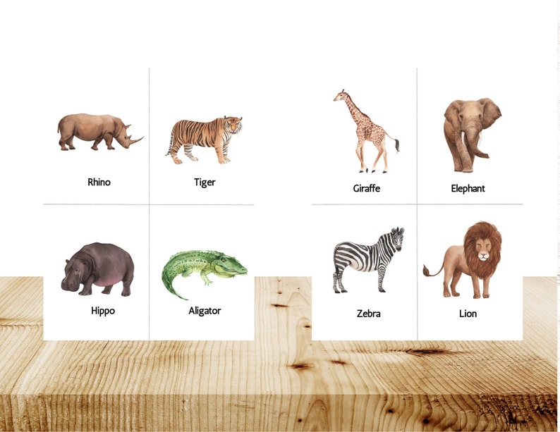8 Safari Animals Cards, Montessori Flash Cards, Pre-school Cards ...