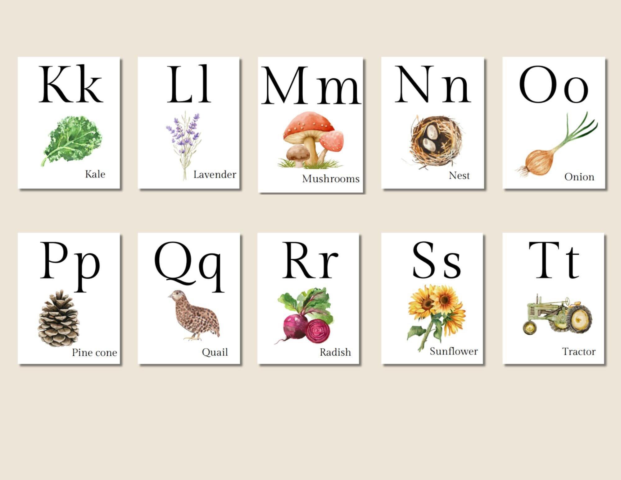 BUNDLE Nature Alphabet Flashcards / Number Flashcards/ Watercolor Cards ...