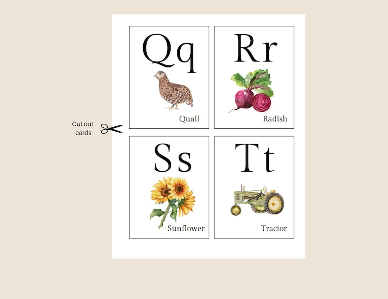 BUNDLE Nature Alphabet Flashcards / Number Flashcards/ Watercolor Cards ...