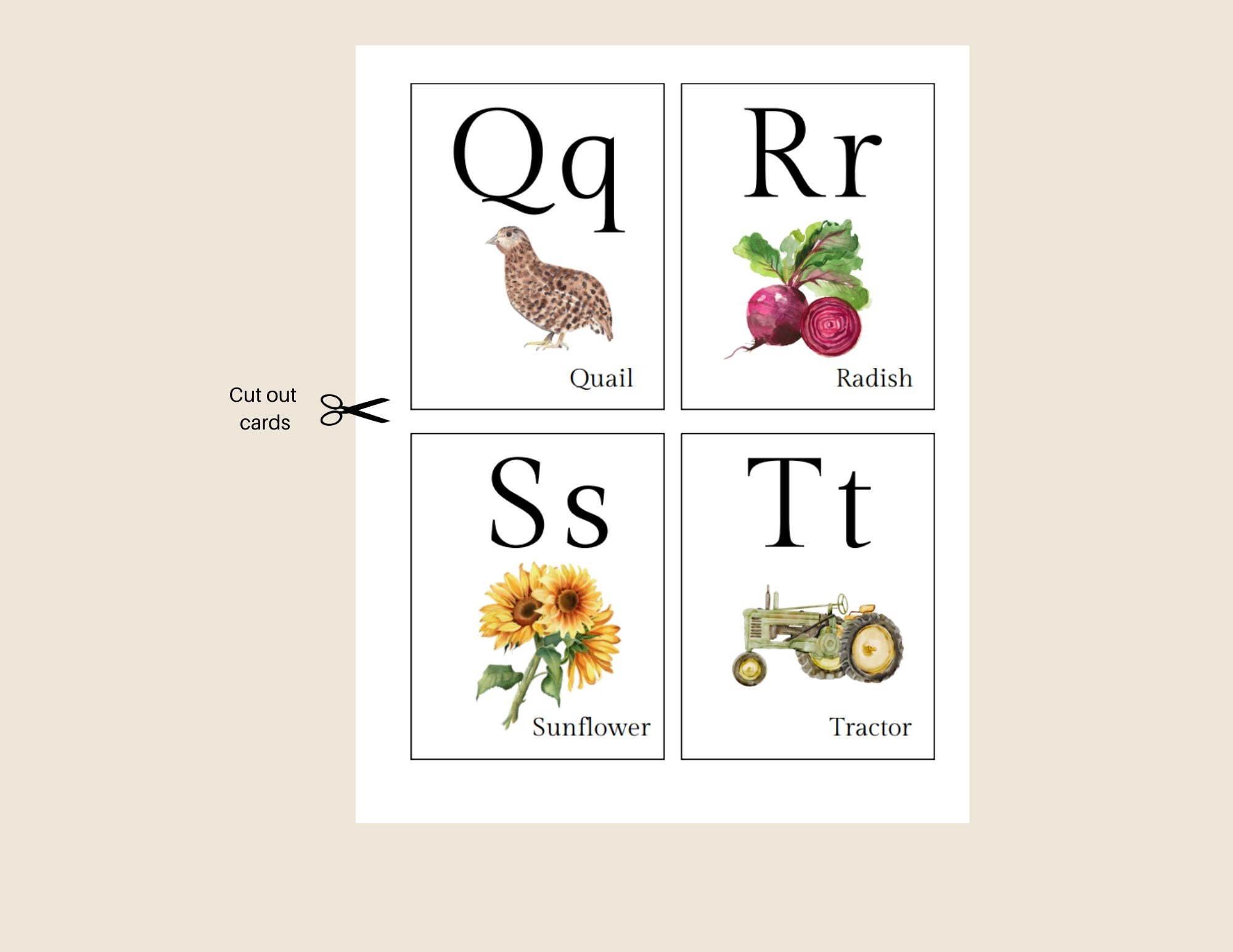 BUNDLE Nature Alphabet Flashcards / Number Flashcards/ Watercolor Cards ...