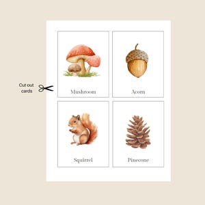 Fall Flashcards Printable, Autumn Flashcards, Nature Cards, Fall ...