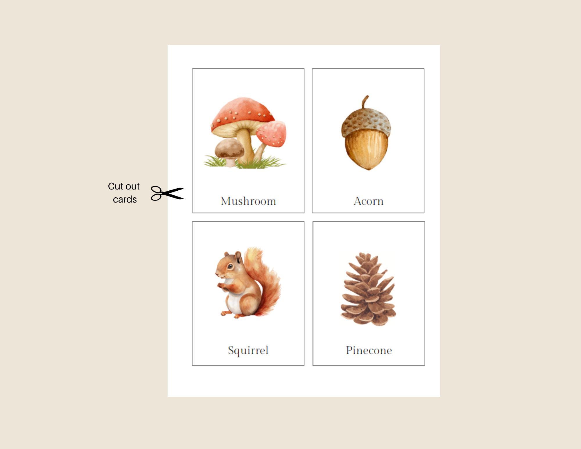 Fall Flashcards Printable, Autumn Flashcards, Nature Cards, Fall ...