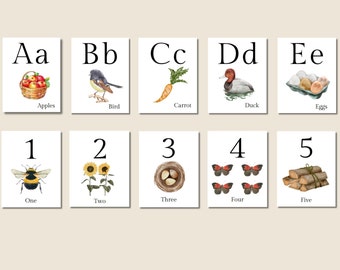 Watercolor Animal Alphabet Flashcards | ABC Learning | Kids Preschool ...