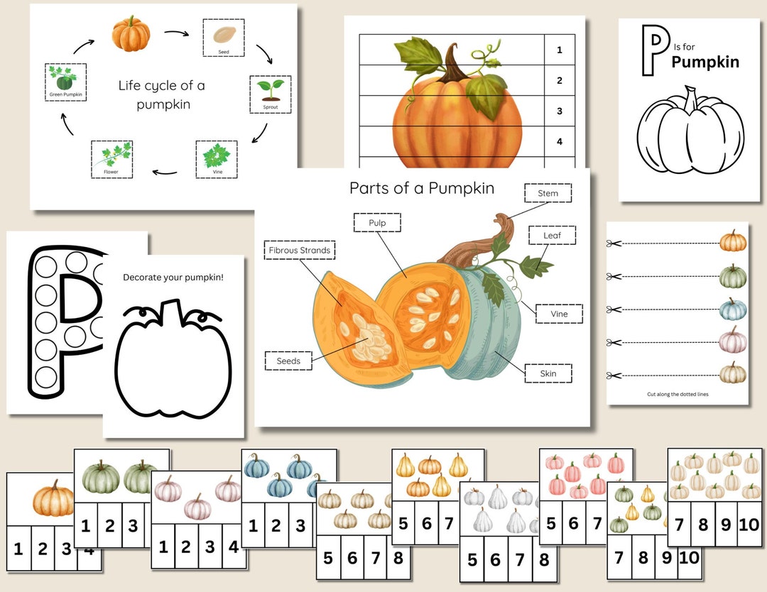 Pumpkin Activity Pack for Kids, Printable Learning Bundle, Pumpkin ...