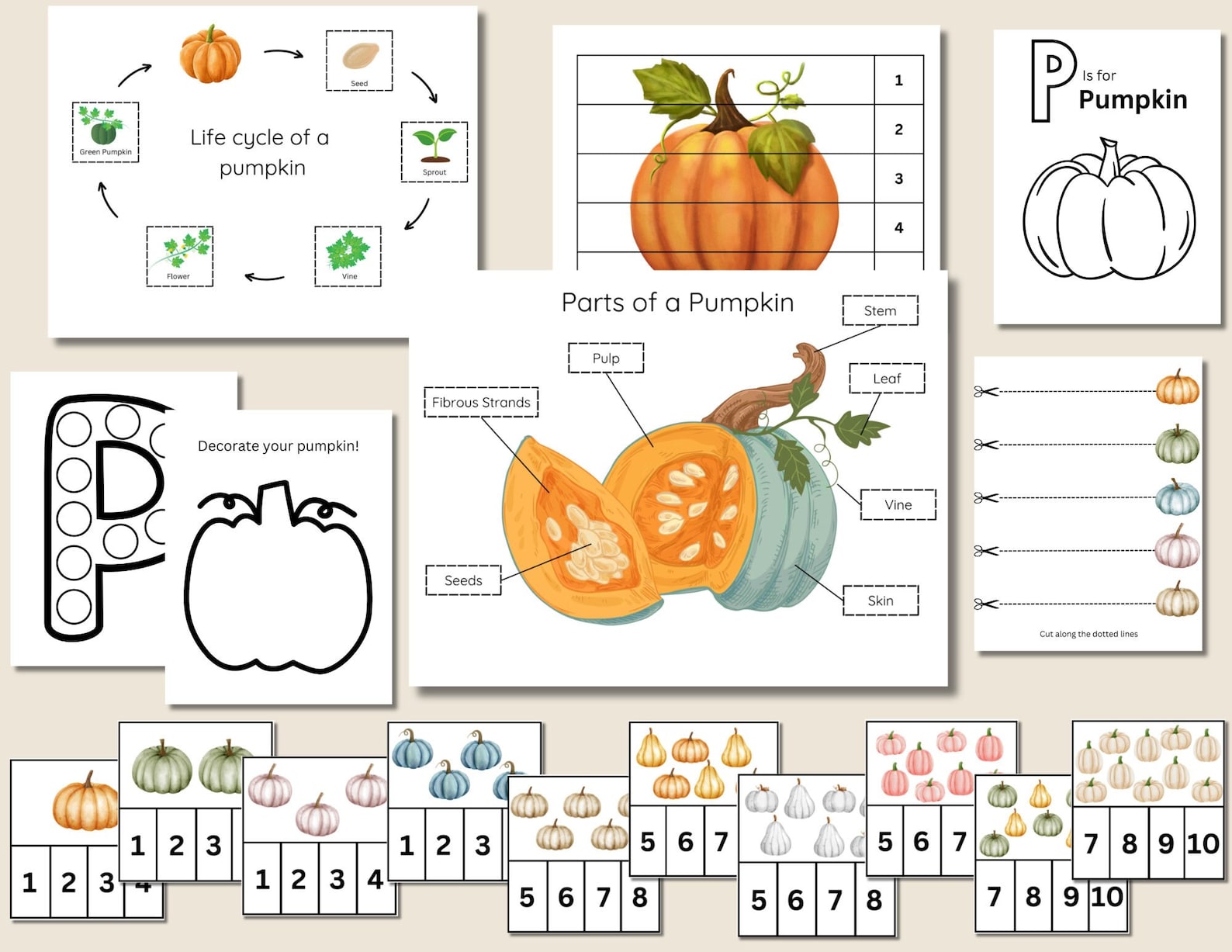 Pumpkin Activity Pack for Kids, Printable Learning Bundle, Pumpkin ...