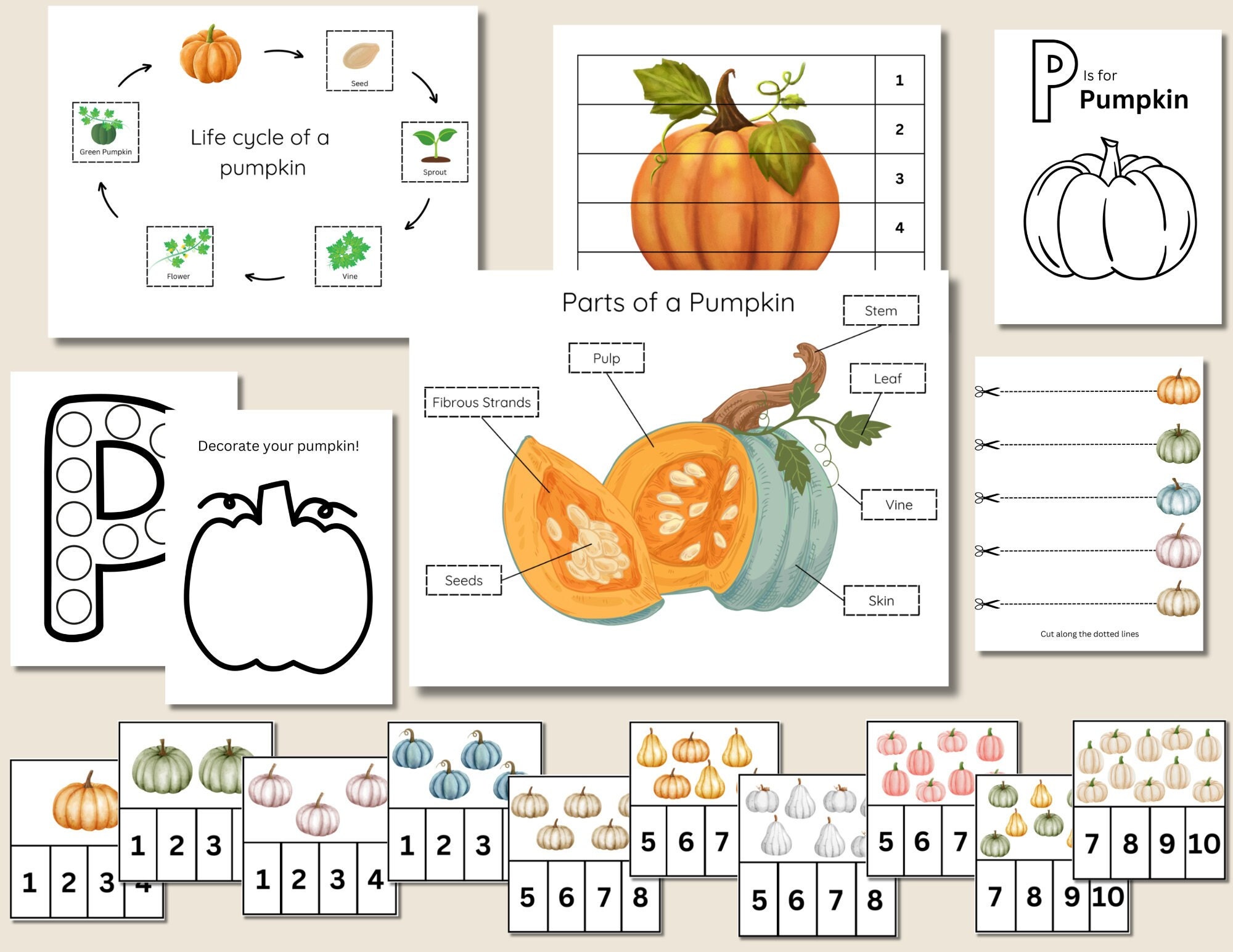 Pumpkin Activity Pack for Kids, Printable Learning Bundle, Pumpkin ...