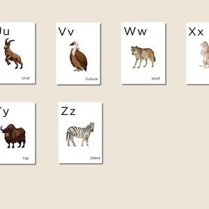 26 Printable Animal Alphabet Flash Cards, Classroom Decor, Toddlers ...