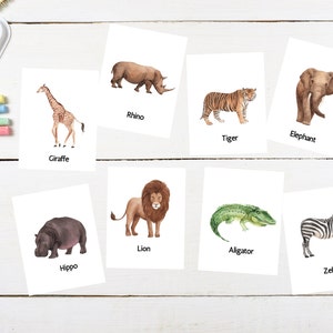 8 Safari Animals Cards, Montessori Flash Cards, Pre-school Cards ...