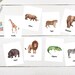 8 Safari Animals Cards, Montessori Flash Cards, Pre-school Cards ...