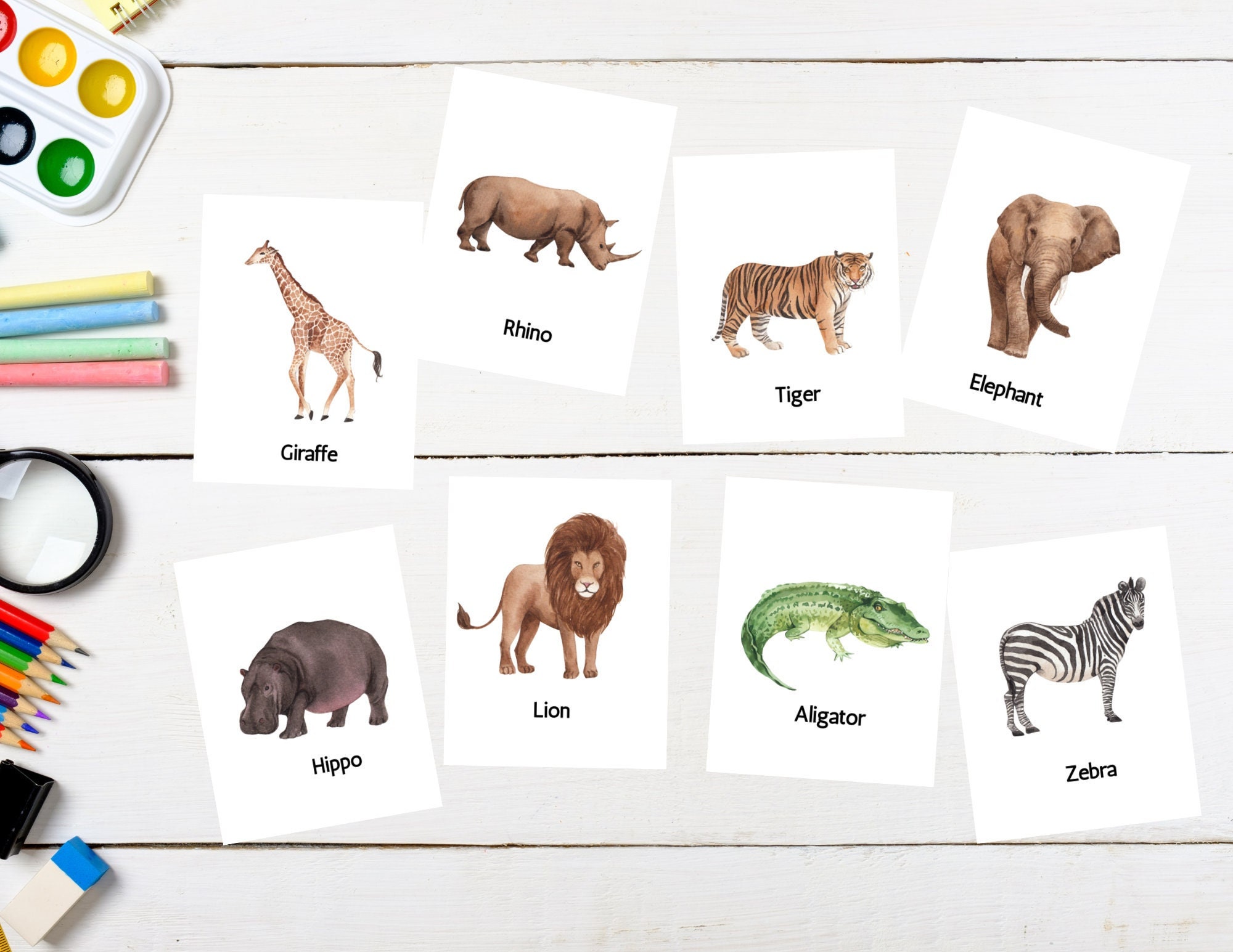 8 Safari Animals Cards, Montessori Flash Cards, Pre-school Cards ...
