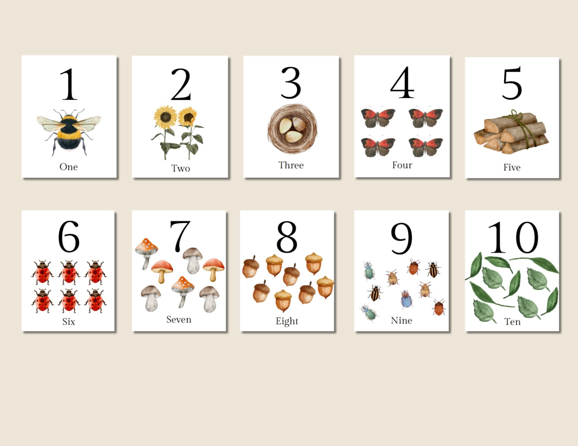 BUNDLE Nature Alphabet Flashcards / Number Flashcards/ Watercolor Cards ...