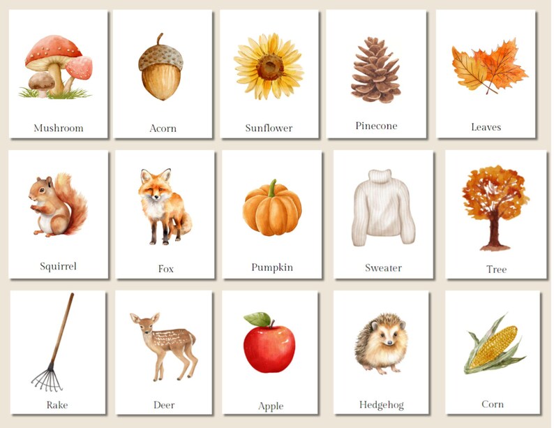 Fall Flashcards Printable, Autumn Flashcards, Nature Cards, Fall ...