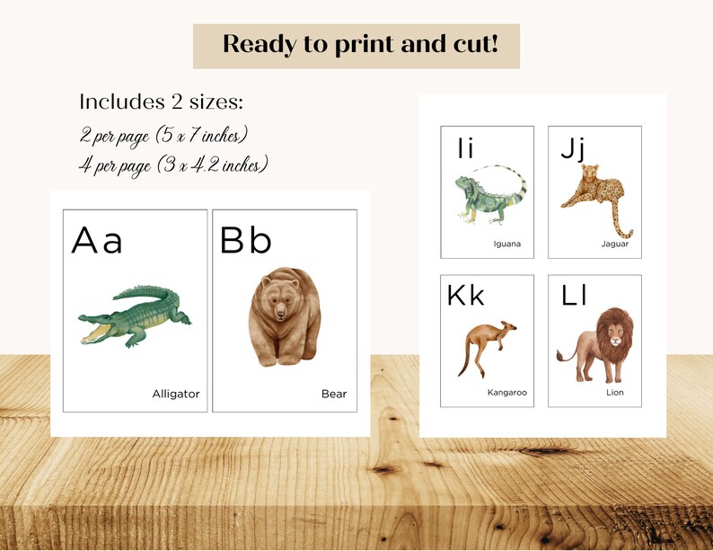 26 Printable Animal Alphabet Flash Cards Classroom Decor - Etsy
