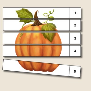 Pumpkin Activity Pack for Kids, Printable Learning Bundle, Pumpkin ...