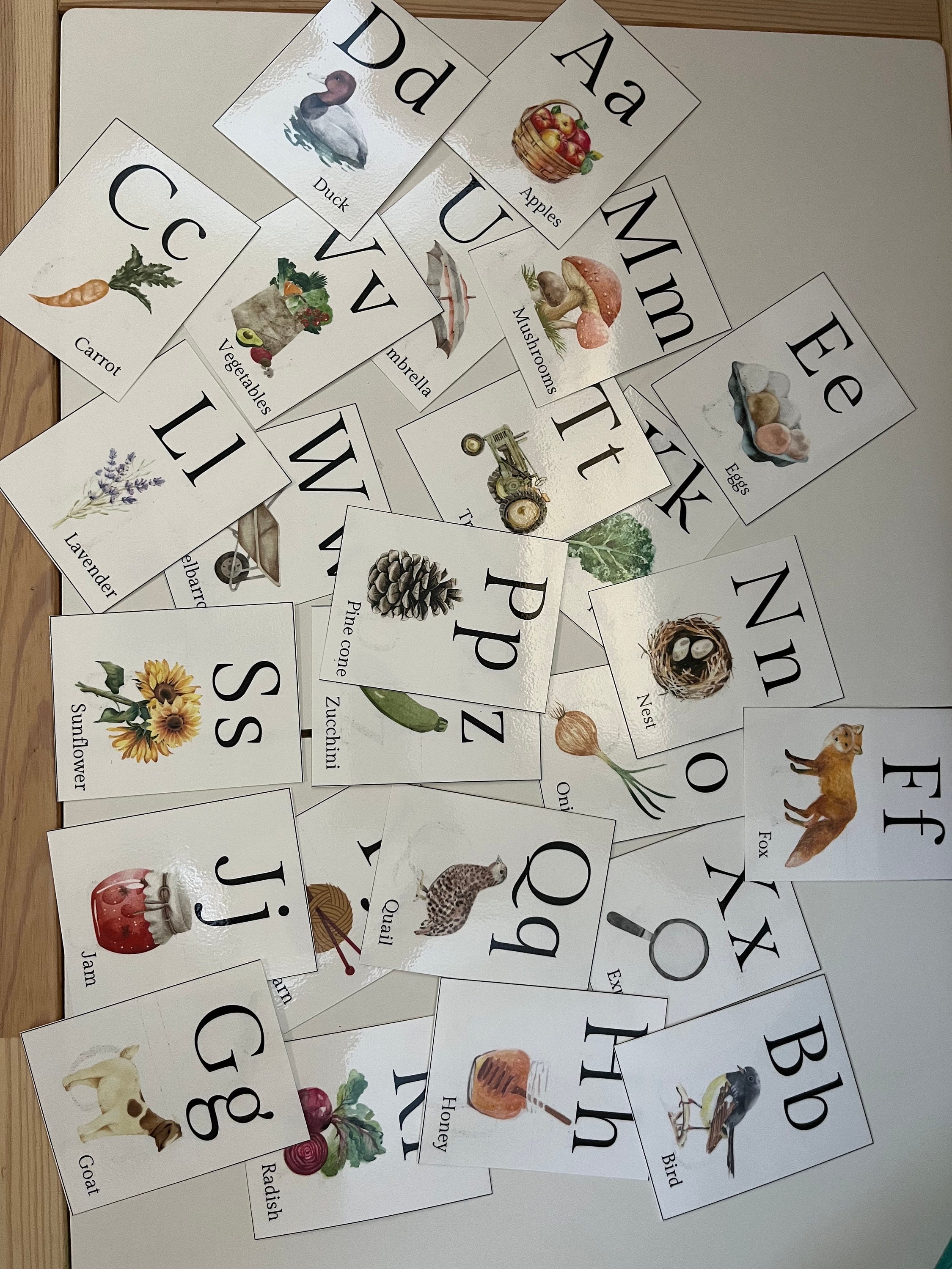 BUNDLE Nature Alphabet Flashcards / Number Flashcards/ Watercolor Cards ...