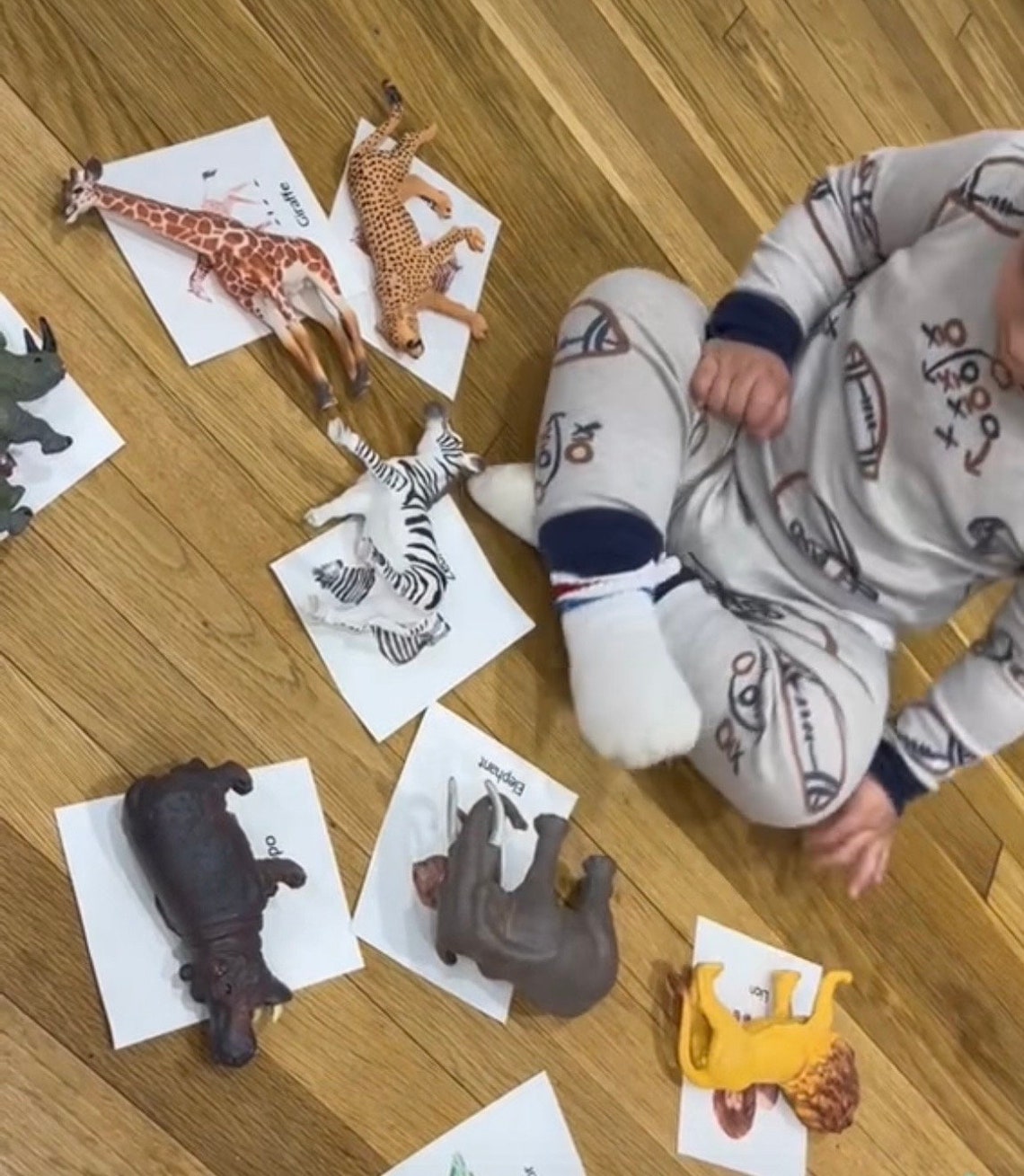 8 Safari Animals Cards, Montessori Flash Cards, Pre-school Cards ...