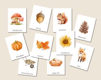 Fall Flashcards Printable, Autumn Flashcards, Nature Cards, Fall ...