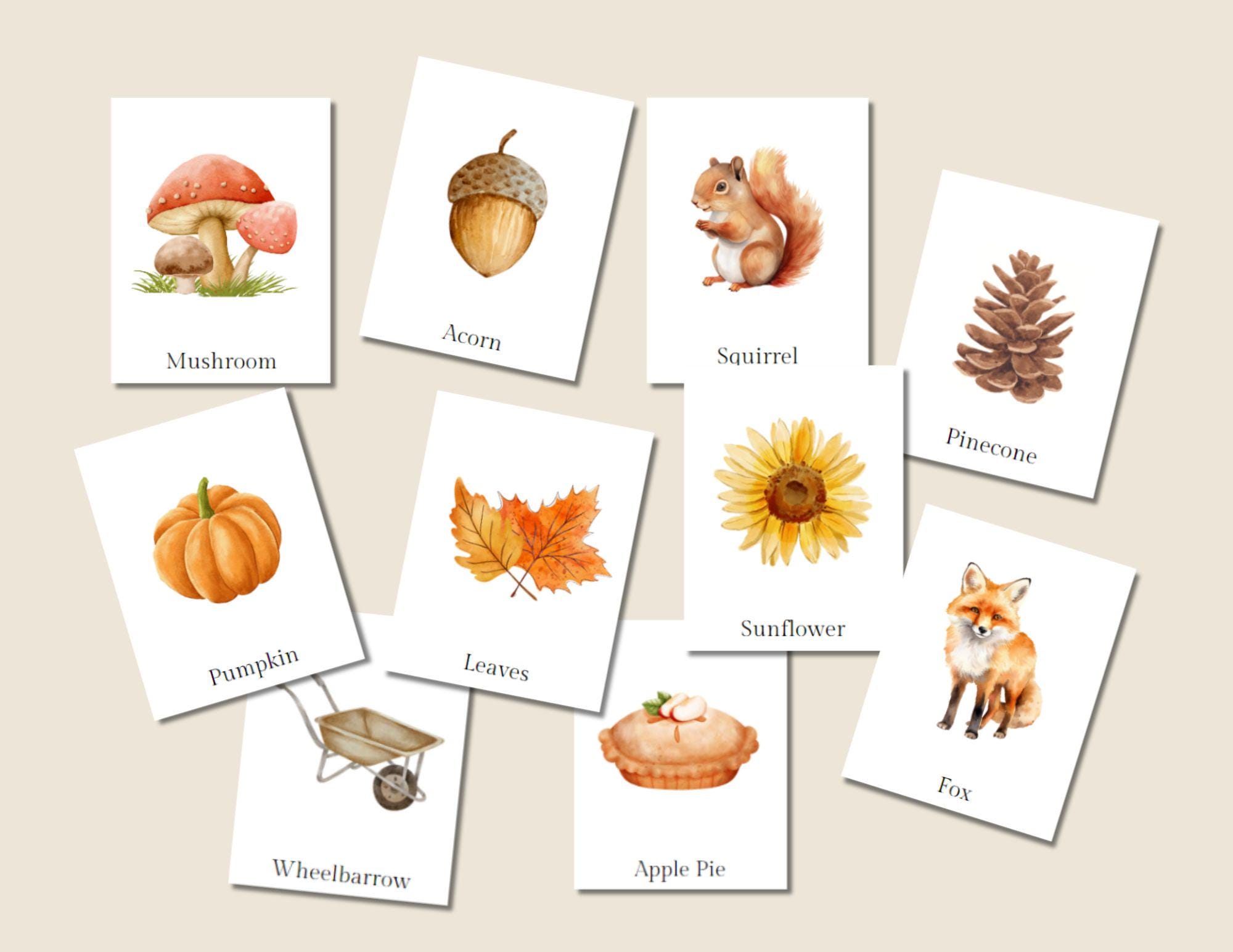 Fall Flashcards Printable, Autumn Flashcards, Nature Cards, Fall ...