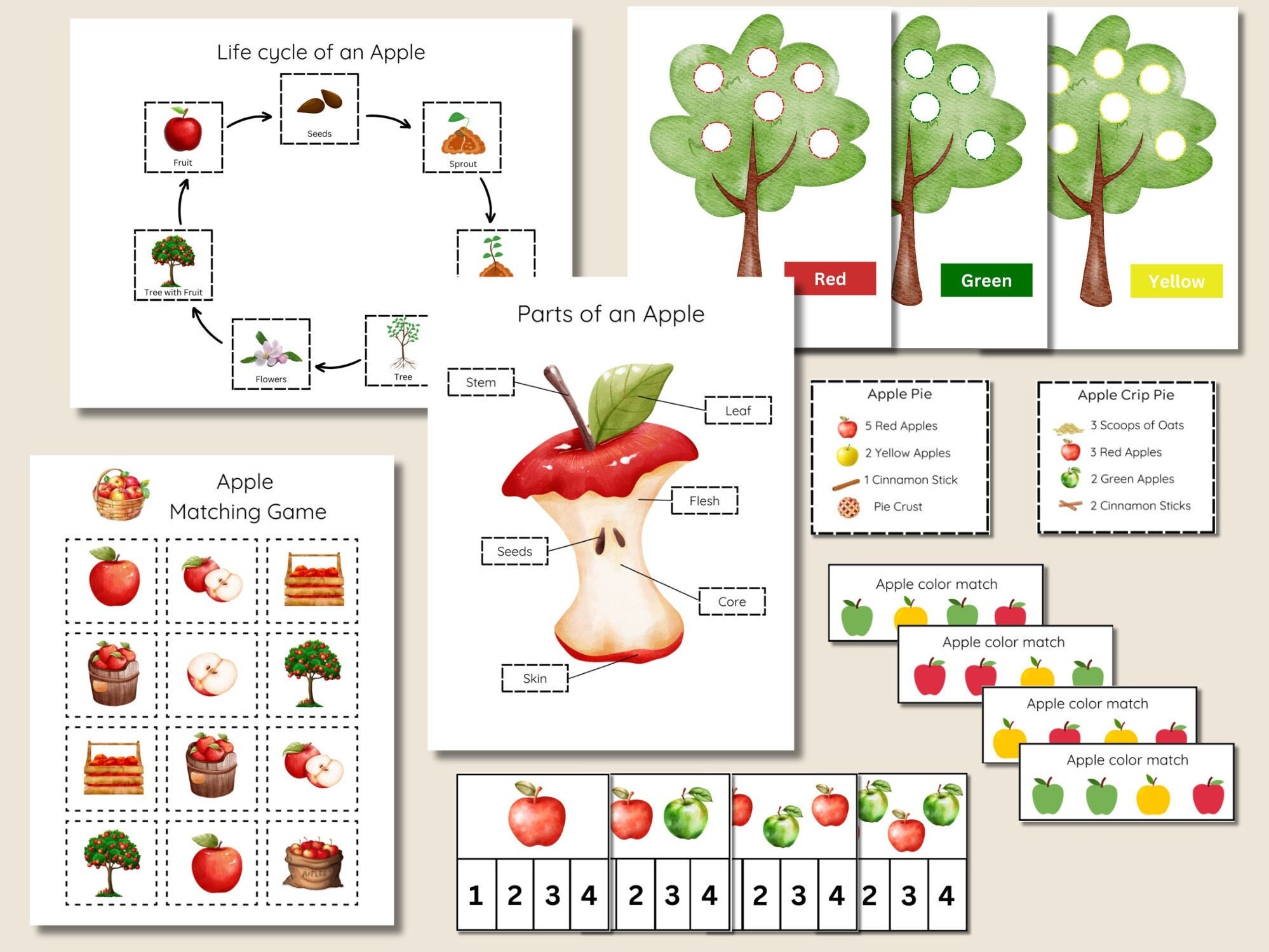 Apple Activity Pack for Kids, Printable Learning Bundle, Apple ...