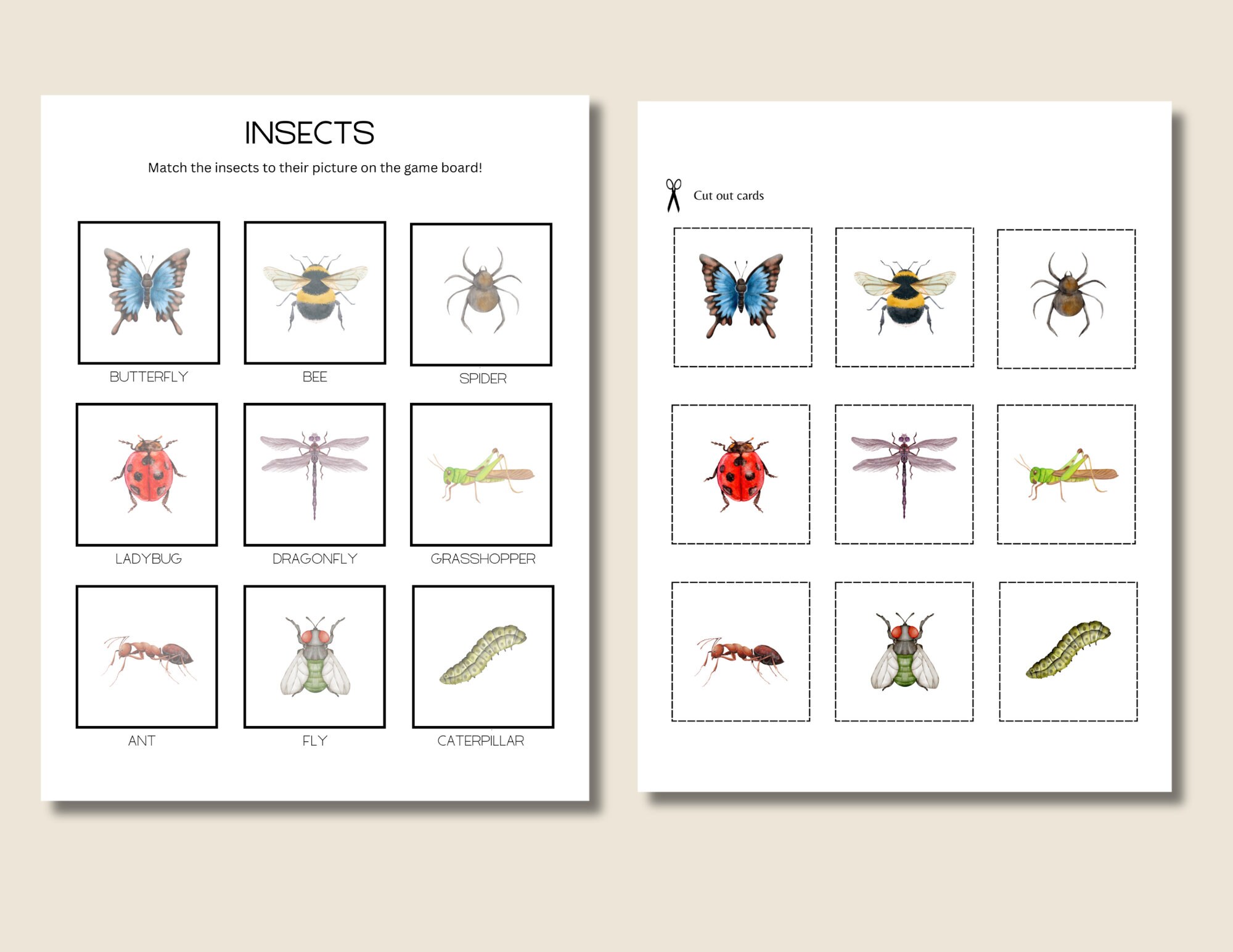 Insect Matching Activity, Match 8 Different Insects, Insect Activity, Garden and Insects Studies ...