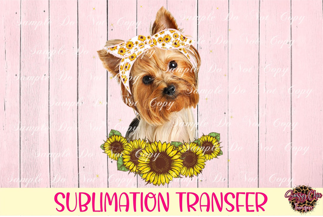 Cute Yorkie Sunflowers -ready to Press Sublimation Transfer, Boho ...